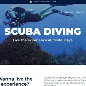 Scuba Diving in Costa Maya Mexico
